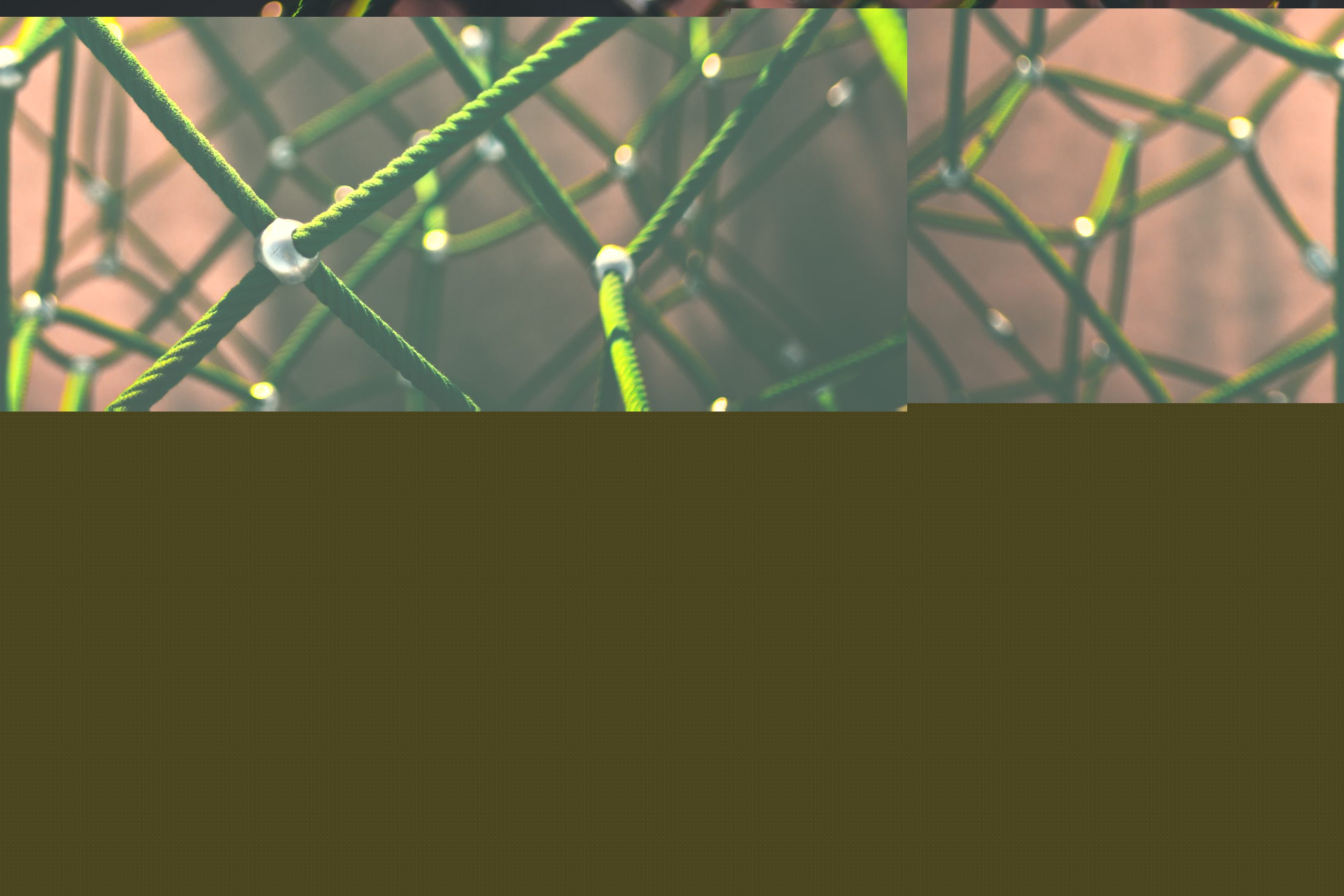 NISO Plus 2023 Highlights Asia Pacific Perspectives on the Information ...